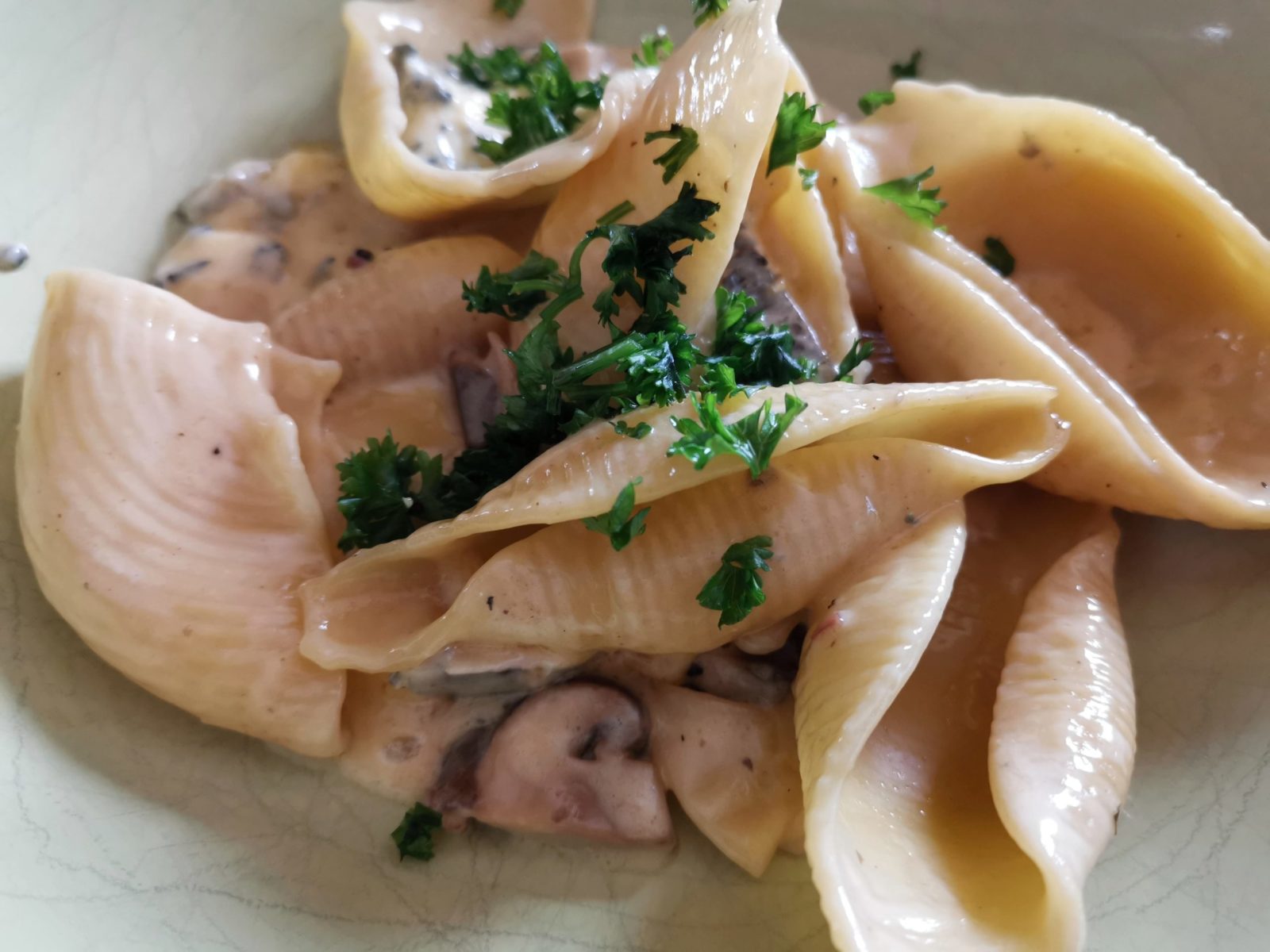 Pasta mit Pilz Sahne - Hexen-kochen-praktisch